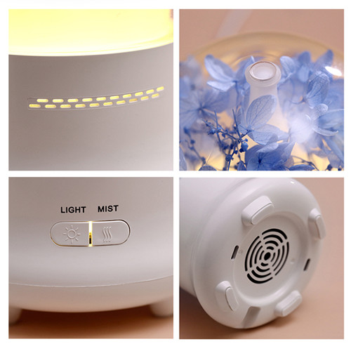 Eternal Flower Aroma Diffuser: The Perfect Combination of Beauty and ...